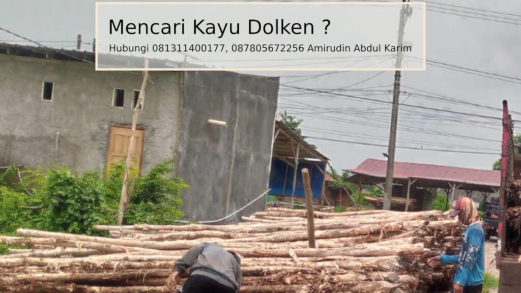 Keunikan Kayu Dolken: Sifat, Kekuatan, dan Kegunaannya - Kata Data