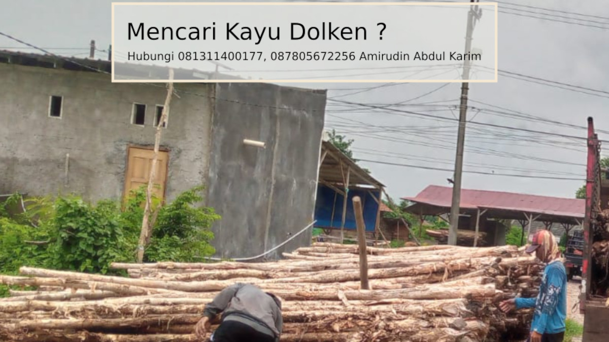 Keunikan Kayu Dolken: Sifat, Kekuatan, dan Kegunaannya - Kata Data